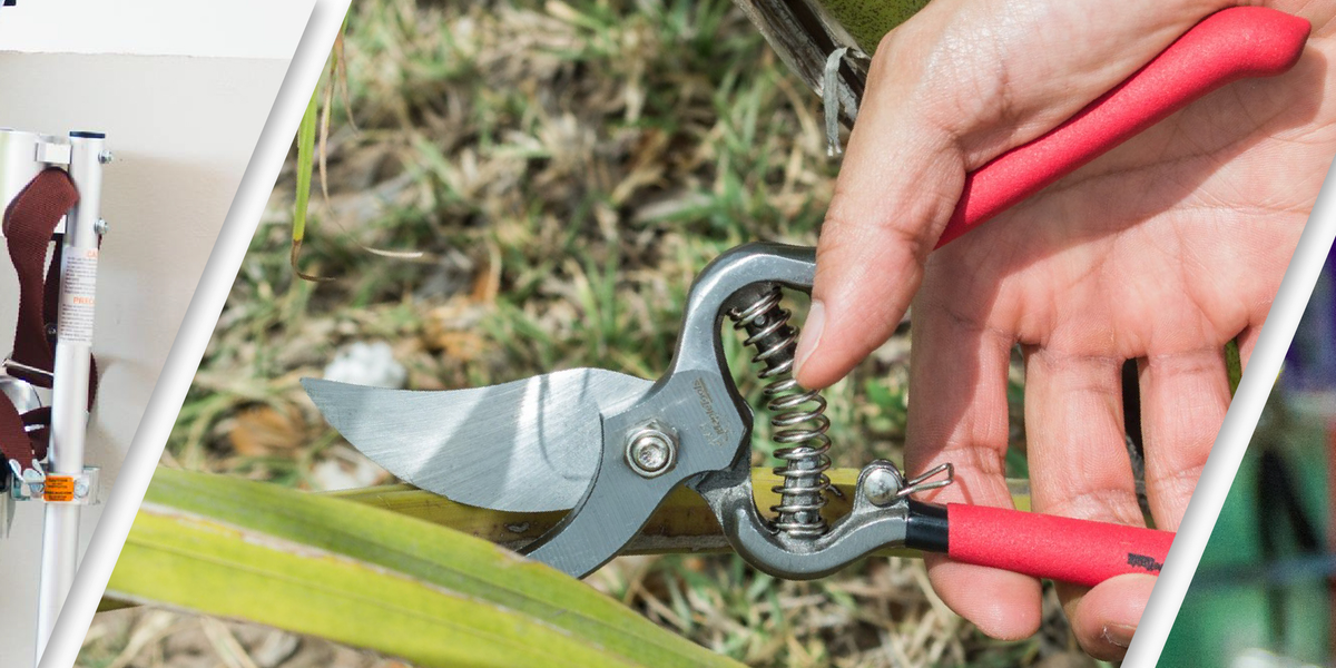 Maple Tools — TOMACO